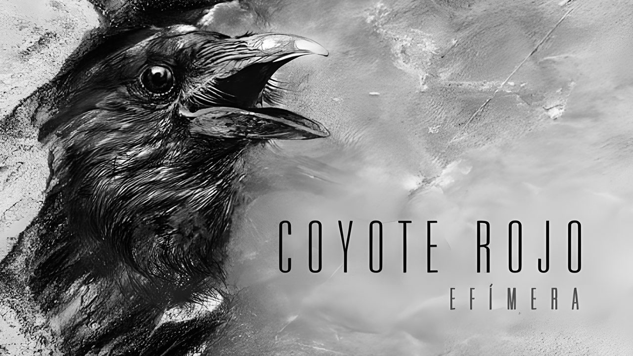 Coyote Rojo: Efímera - Negrotropico